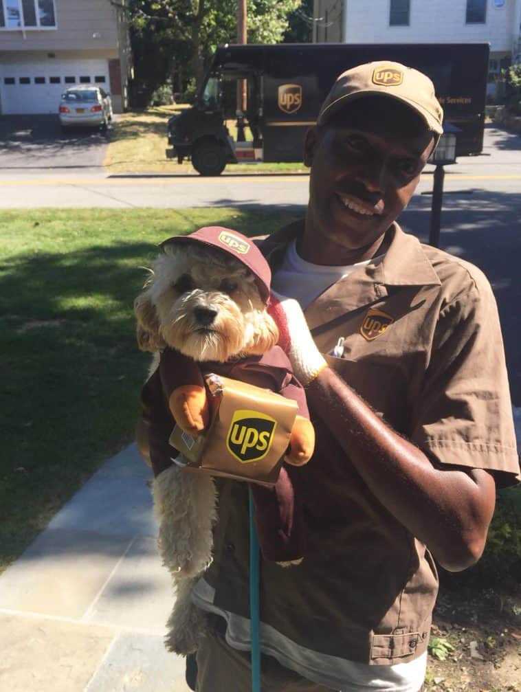 UPS Drivers Share Photos of Dogs they Meet on their Routes and they are ...