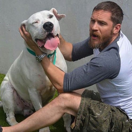 Tom Hardy and Dogs Are a Match Made in Doggy Heaven - BarkStory