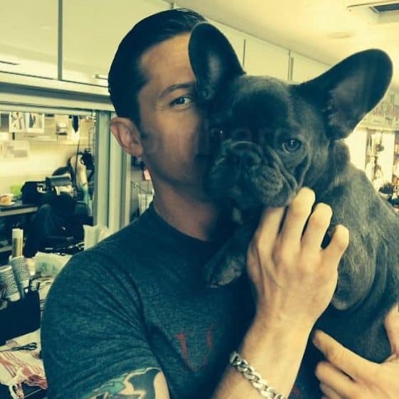 Tom Hardy and Dogs Are a Match Made in Doggy Heaven - BarkStory