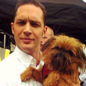 Tom Hardy and Dogs Are a Match Made in Doggy Heaven - BarkStory