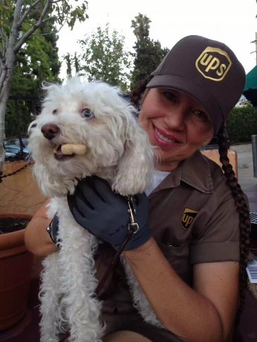 UPS Drivers Share Photos of Dogs they Meet on their Routes and they are ...