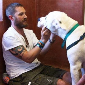 Tom Hardy and Dogs Are a Match Made in Doggy Heaven - BarkStory