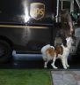 UPS Drivers Share Photos of Dogs they Meet on their Routes and they are ...