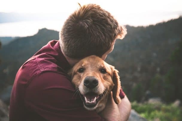 13 Signs That Your Dog Is Truly Happy - BarkStory