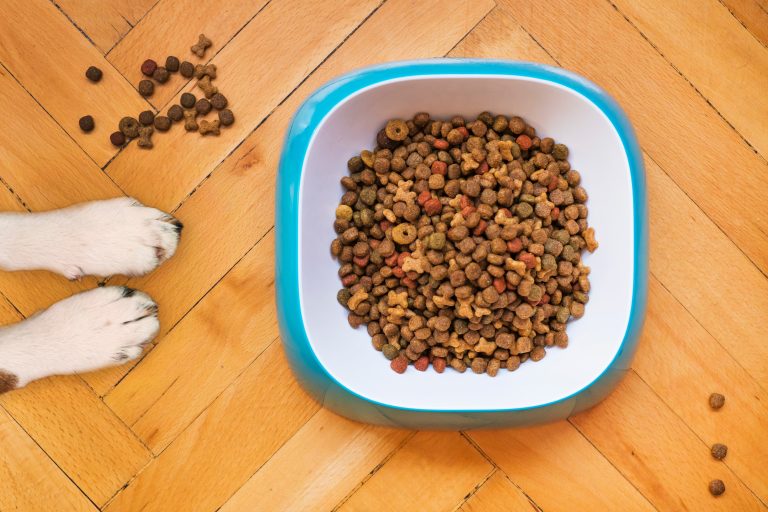 Best Dog Food for Large Breeds 2026: 7 Vet-Trusted Picks for Big Dogs ...